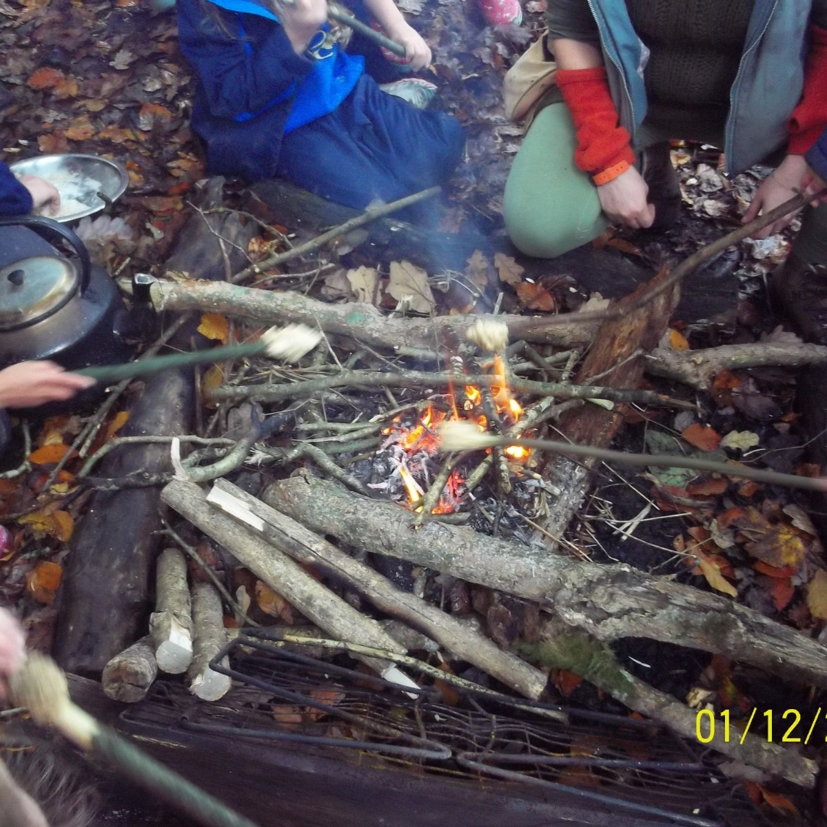 Holbeton Primary School - Bonfire Forest School